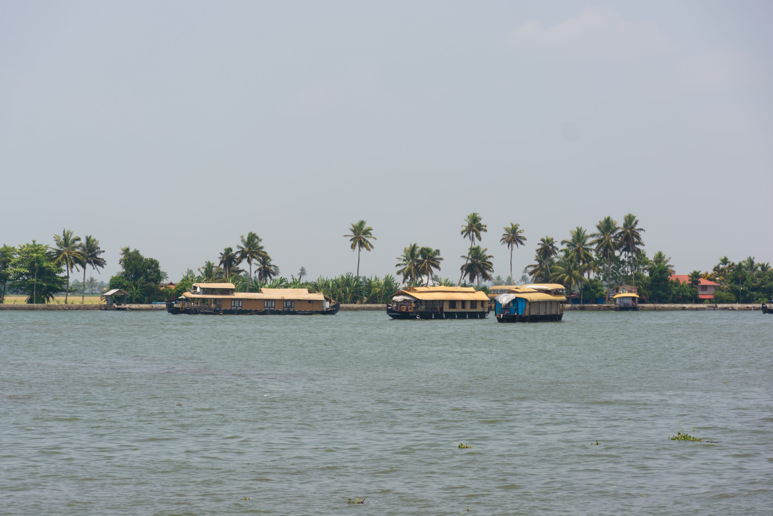 Top 10 Things to Do in Alleppey Besides Houseboat Cruise - Waves & Dales